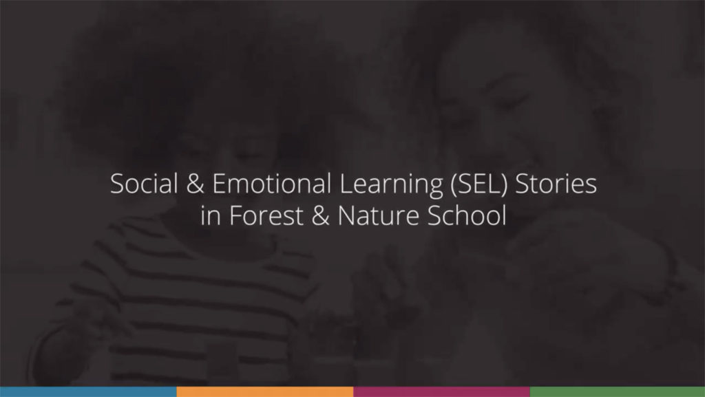 Social & Emotional Learning (SEL) Stories in Forest & Nature School ...
