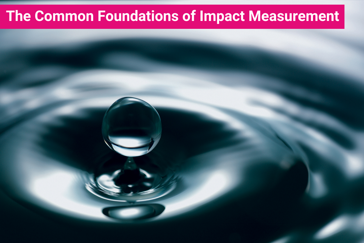 The Common Foundations of Impact Measurement | ONN Resource Centre