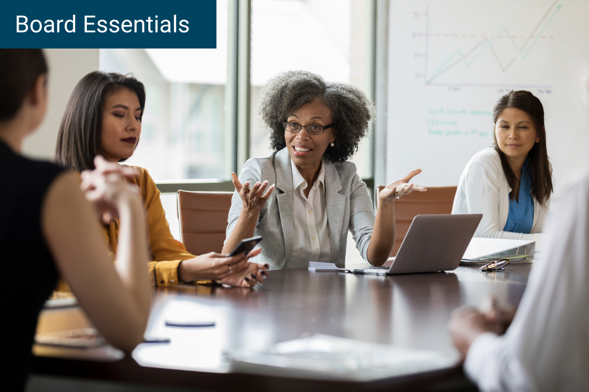 Reimagining Governance: Board Essentials | ONN Resource Centre